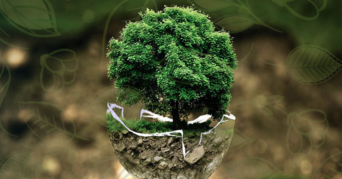 ¿Qué es el Derecho Ambiental? - IEXE Universidad